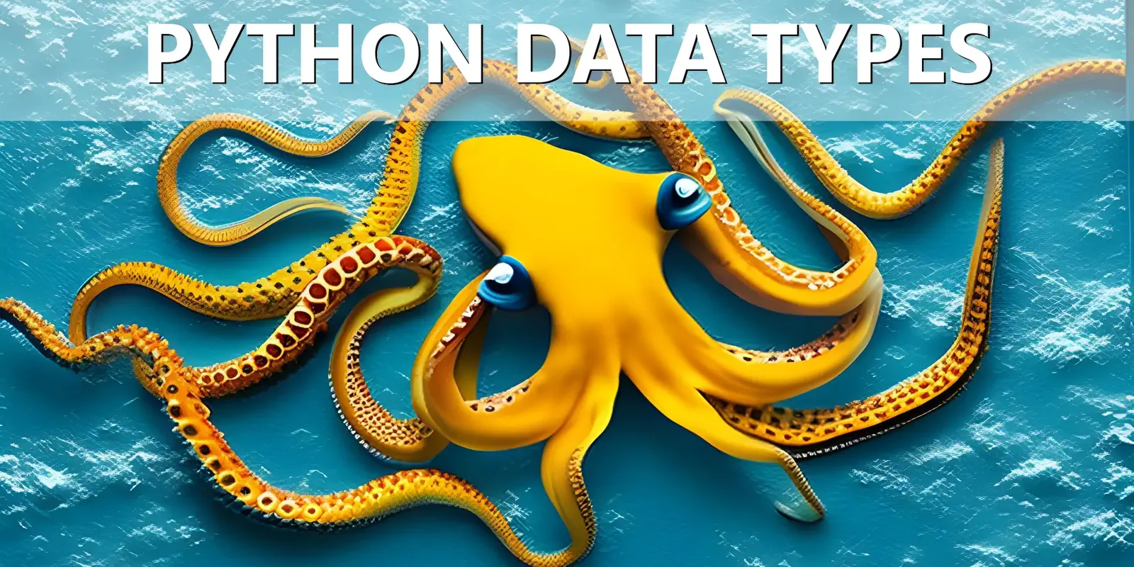 Understanding Python s Common Built in Data Types PythonFix